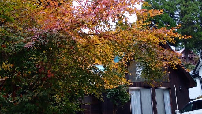 人気の黒川温泉の岩風呂付き別荘をご自由にどうぞの写真27