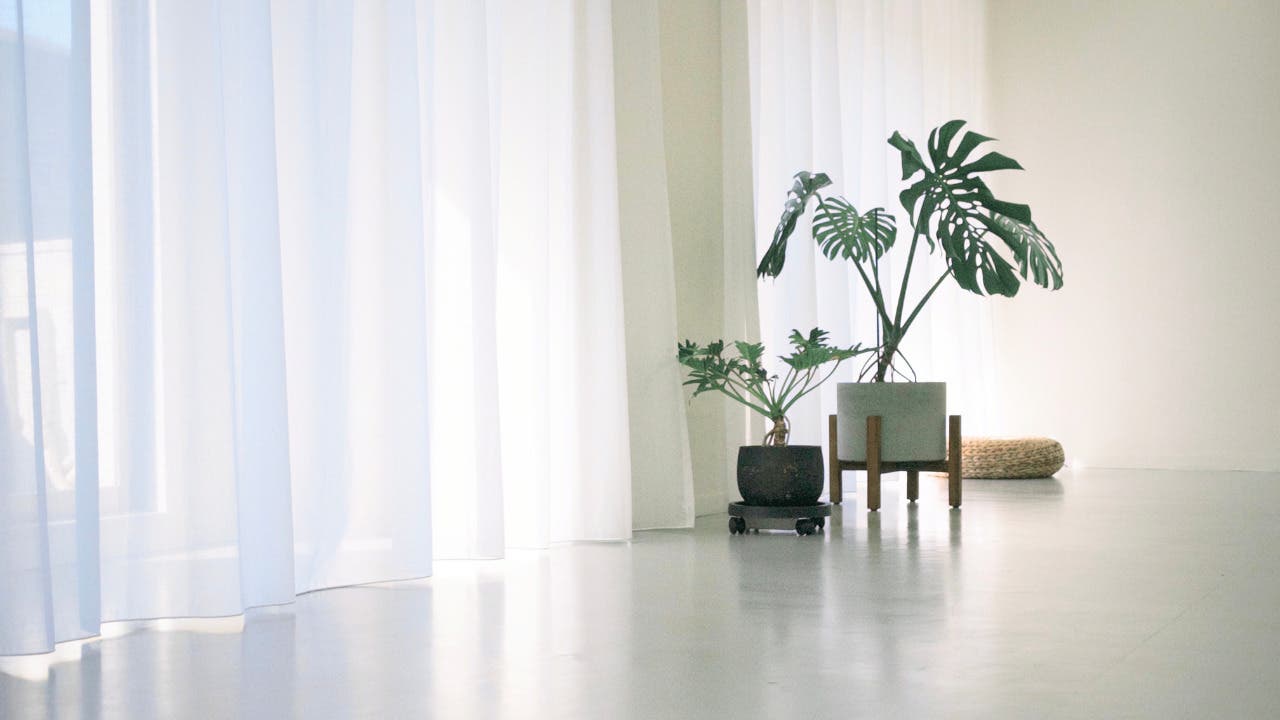 【new】自然光◎撮影・ポートレートに最適なスタジオ| 東府中7分・大国魂神社近くの写真7