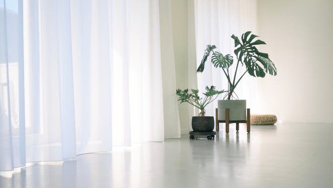 【new】自然光◎撮影・ポートレートに最適なスタジオ| 東府中7分・大国魂神社近くの写真7