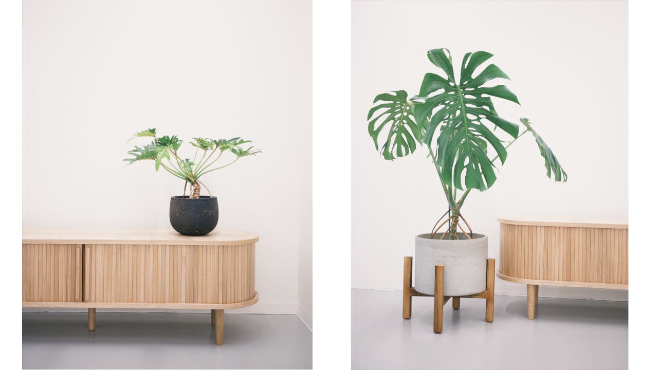 【new】自然光◎撮影・ポートレートに最適なスタジオ| 東府中7分・大国魂神社近くの写真19