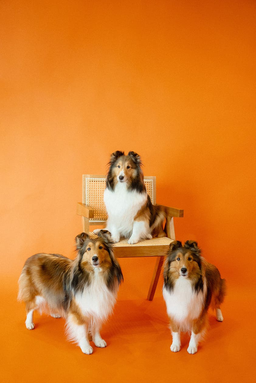 【新規OPEN】撮影機材完備の本格スタジオ｜カラーペーパー・Nanliteストロボ使用可｜大阪の写真1