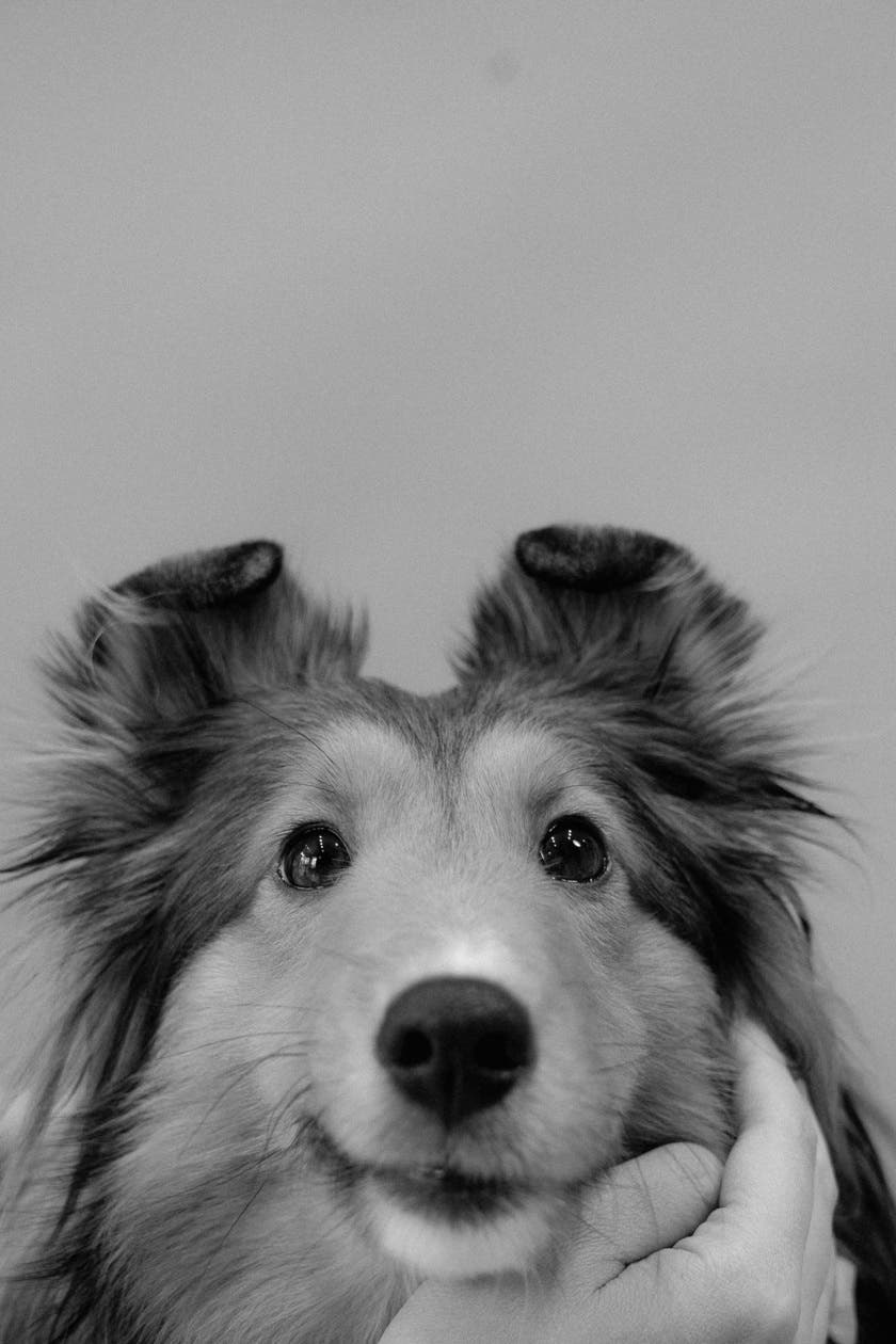 【新規OPEN】撮影機材完備の本格スタジオ｜カラーペーパー・Nanliteストロボ使用可｜大阪の写真6