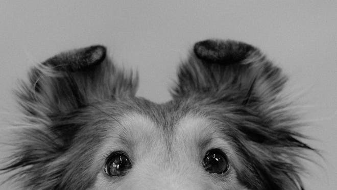 【新規OPEN】撮影機材完備の本格スタジオ|カラーペーパー・Nanliteストロボ使用可|大阪の写真6