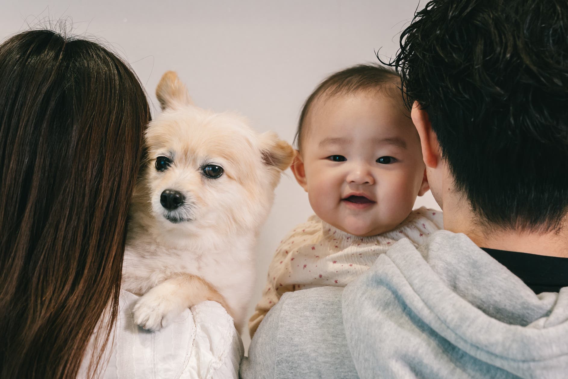【新規OPEN】撮影機材完備の本格スタジオ｜カラーペーパー・Nanliteストロボ使用可｜大阪の写真4
