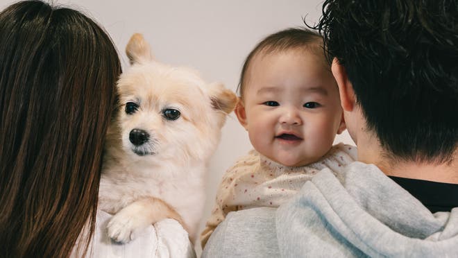 【新規OPEN】撮影機材完備の本格スタジオ|カラーペーパー・Nanliteストロボ使用可|大阪の写真4