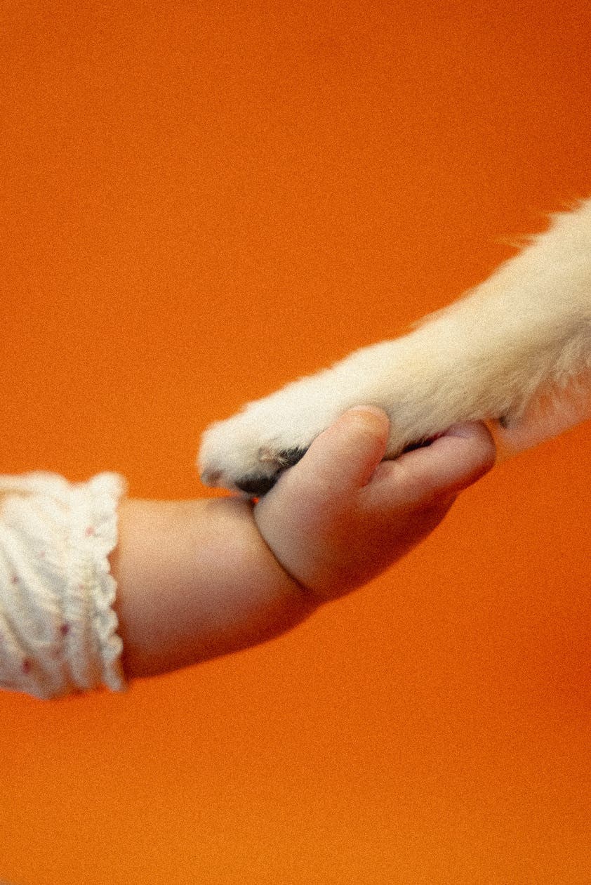 【新規OPEN】撮影機材完備の本格スタジオ｜カラーペーパー・Nanliteストロボ使用可｜大阪の写真5