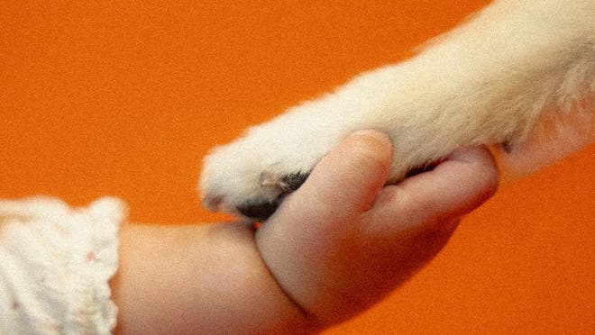 【新規OPEN】撮影機材完備の本格スタジオ|カラーペーパー・Nanliteストロボ使用可|大阪の写真5