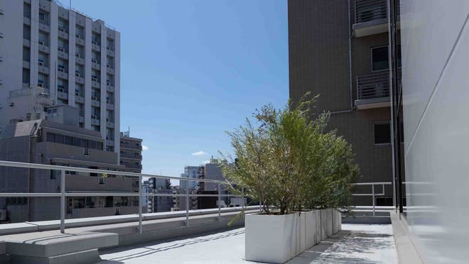 南向きの大きな窓から自然光|北欧ナチュラル空間+屋外撮影バルコニー|写真撮影、ムービー撮影、イベント、セミナー、会議室の写真4