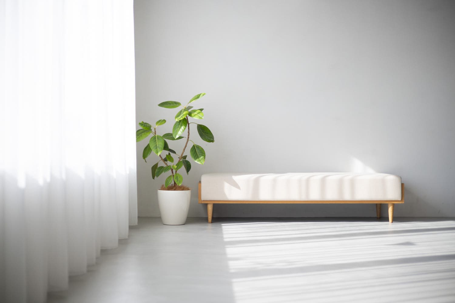 南向きの大きな窓から自然光｜北欧ナチュラル空間＋屋外撮影バルコニー｜写真撮影、ムービー撮影、イベント、セミナー、会議室の写真8