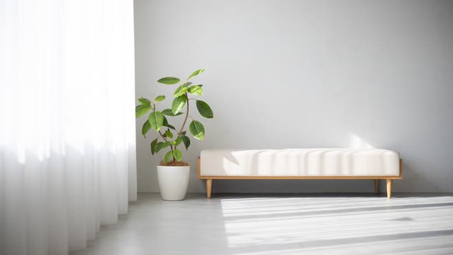 南向きの大きな窓から自然光|北欧ナチュラル空間+屋外撮影バルコニー|写真撮影、ムービー撮影、イベント、セミナー、会議室の写真8