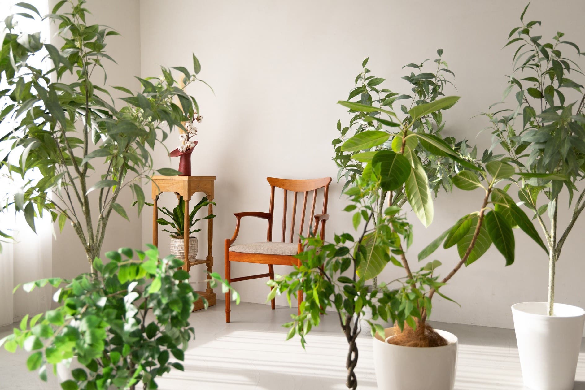 南向きの大きな窓から自然光｜北欧ナチュラル空間＋屋外撮影バルコニー｜写真撮影、ムービー撮影、イベント、セミナー、会議室の写真10