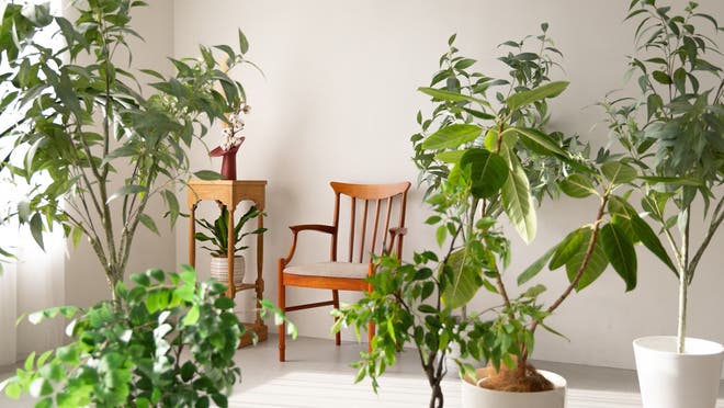 南向きの大きな窓から自然光|北欧ナチュラル空間+屋外撮影バルコニー|写真撮影、ムービー撮影、イベント、セミナー、会議室の写真10