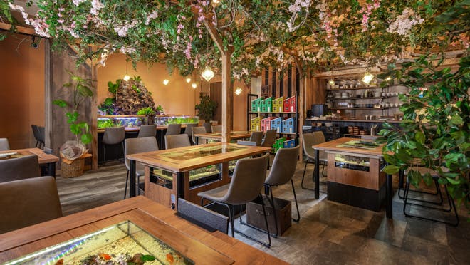 京都河原町三条交差点スグのカフェレストランの写真1