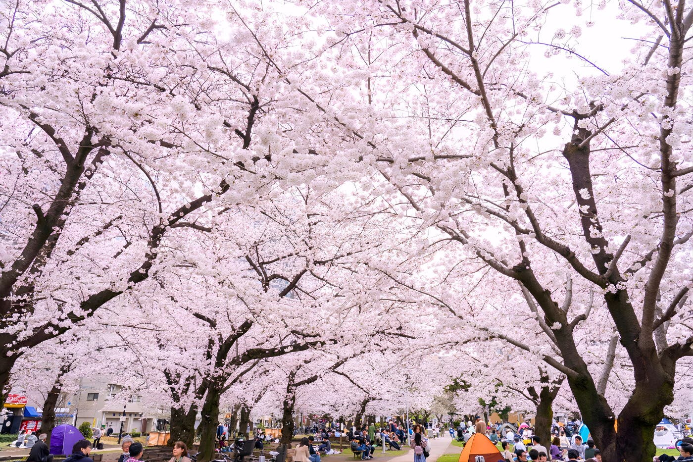 ✨錦糸町駅2分💁‍♀️設備がキレイなお部屋🏠動画ストリーミング視聴🎥おうちデート👫推し活🎉誕生会🥳の写真2