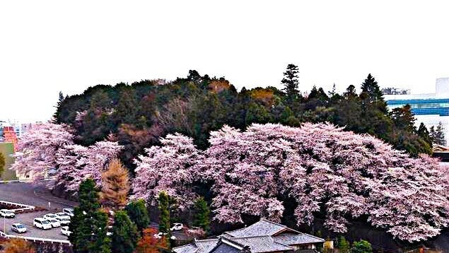 オープン特価✨【オリオン通りすぐ!!】女子会💄推し活🌟デート💖各種サロン✨会議室🧑💼Wi-Fi完備💻24hOK🏨の写真3