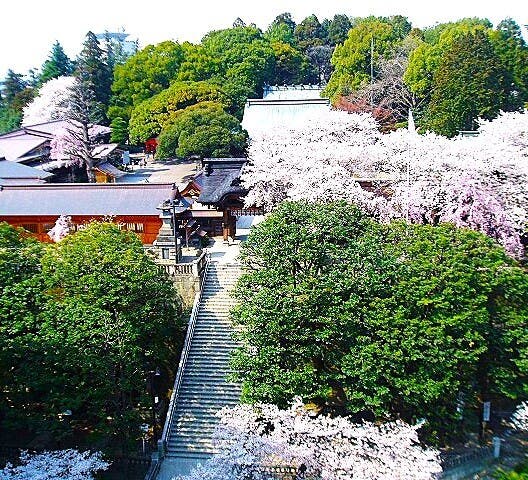 オープン特価✨【オリオン通りすぐ!!】女子会💄推し活🌟デート💖各種サロン✨会議室🧑‍💼Wi-Fi完備💻24hOK🏨の写真4