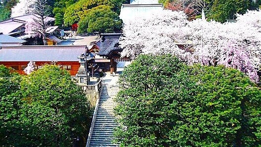 オープン特価✨【オリオン通りすぐ!!】女子会💄推し活🌟デート💖各種サロン✨会議室🧑💼Wi-Fi完備💻24hOK🏨の写真4