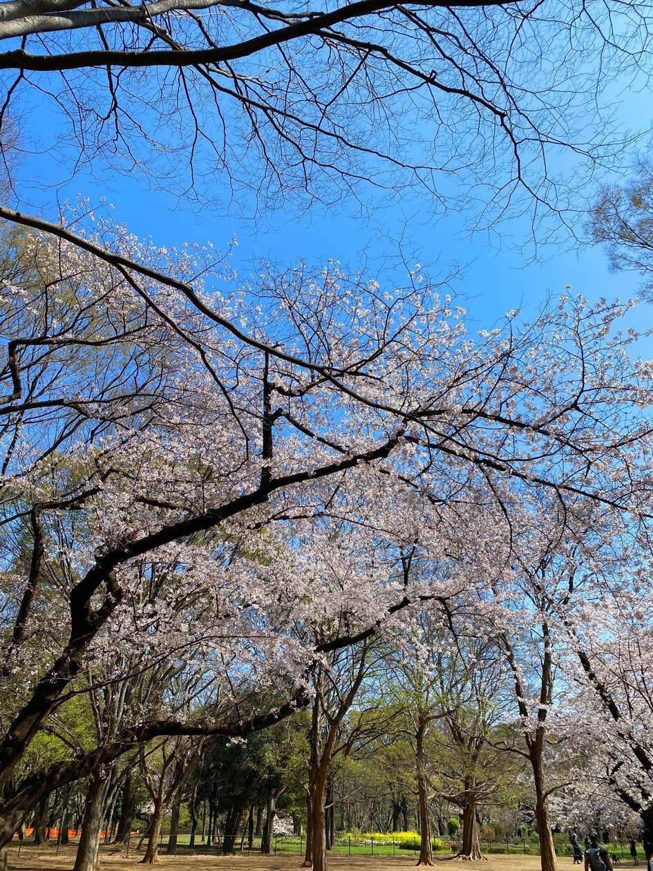 T【渋谷、原宿徒歩６分】ルーフトップ！大人気！BBQ！グランピング！換気！✨ルーフトップ/パーティー/誕生会の写真5