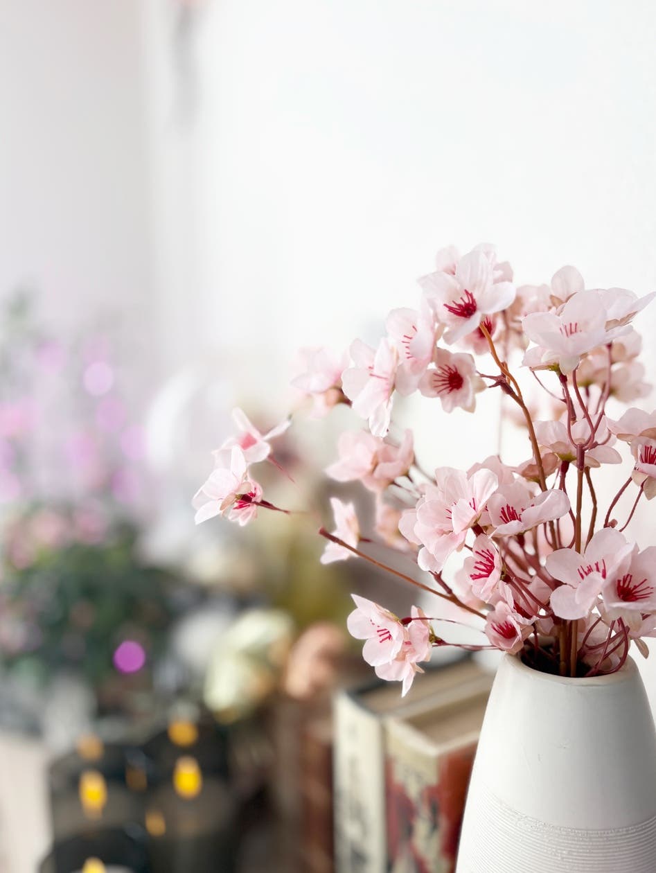 🌸インドア花見🌸⚾️WBC観戦⚾️いりなか駅スグの最上階❣️室内フルリフォーム済✨dyson空気清浄&加湿器で清潔空間🤩の写真6