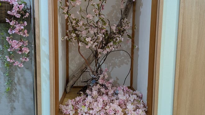 ワンスタ+101#インドア花見#料理動画撮影!!デート!!水元公園撮影控室!!の写真29