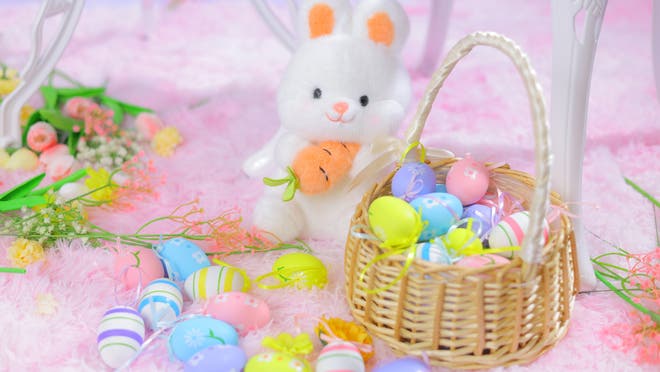 【ココスタジオ日本橋】グレーの撮影ルーム📸 3月31日までイースター撮影ブース✨~コスプレ撮影にぴったり✨の写真1