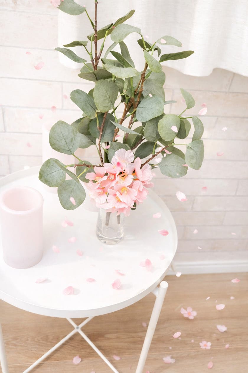 春もお得🌸【ロフト・撮影機材・大人気TVゲーム】ラゾーナ2分｜まったりデート｜女子会｜パーティー｜誕生日・推し会｜秘密基地_Bの写真5