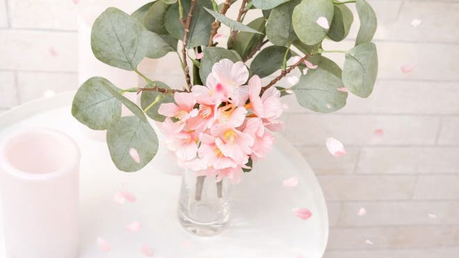 春もお得🌸【ロフト・撮影機材・大人気TVゲーム】ラゾーナ2分|まったりデート|女子会|パーティー|誕生日・推し会|秘密基地_Bの写真5