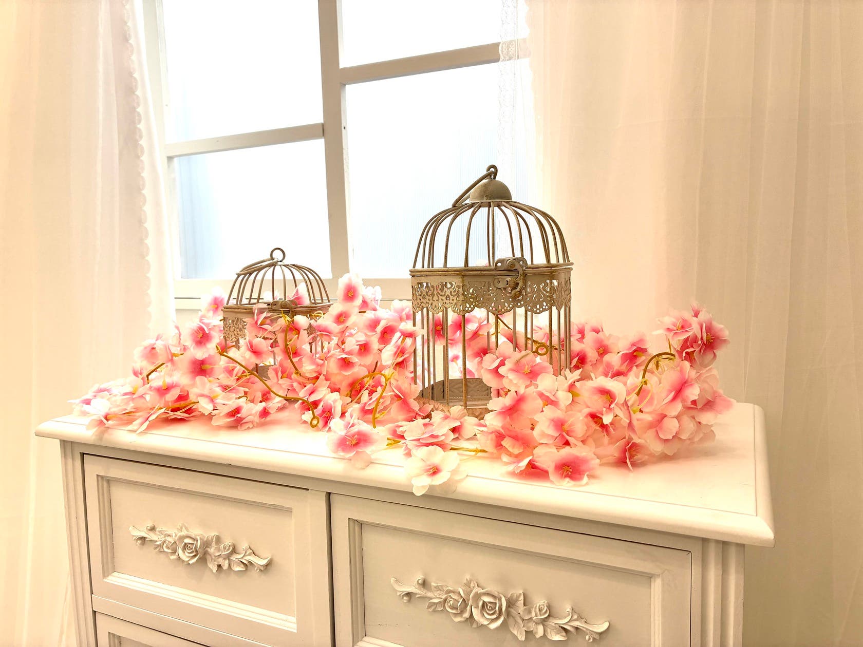 四谷３丁目駅徒歩３分/春の桜花と一緒に🌸/自然光×白の空間/極みの黒/機材全て無料/13種の撮影シーン/都会の中の非日常の写真3