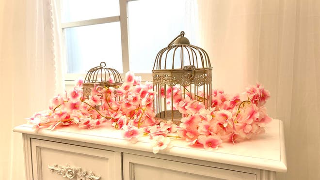 四谷3丁目駅徒歩3分/春の桜花と一緒に🌸/自然光×白の空間/極みの黒/機材全て無料/13種の撮影シーン/都会の中の非日常の写真3