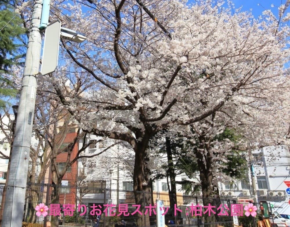 西新宿1分🚶‍♀️2026.1🆕🌸お花見🌸ﾎﾟｯﾌﾟｺｰﾝ食べ放題🍿🆓ﾎﾞﾄﾞｹﾞ30種🎲撮影🎥コーヒー☕️🆓の写真3