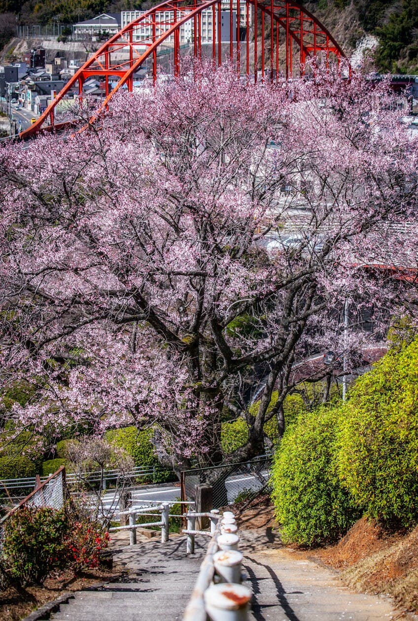 歴史ある音戸渡船の建物を利用し２つの赤い音戸大橋に挟まれた世界一狭い航路を望む広いウッドデッキスペースを持つレンタルスペース。の写真10