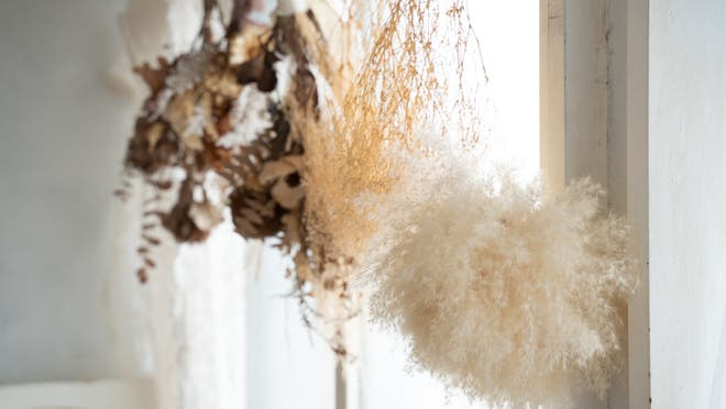 中島公園すぐ|自然光と木の温もりを感じるナチュラルレンタルスタジオの写真22