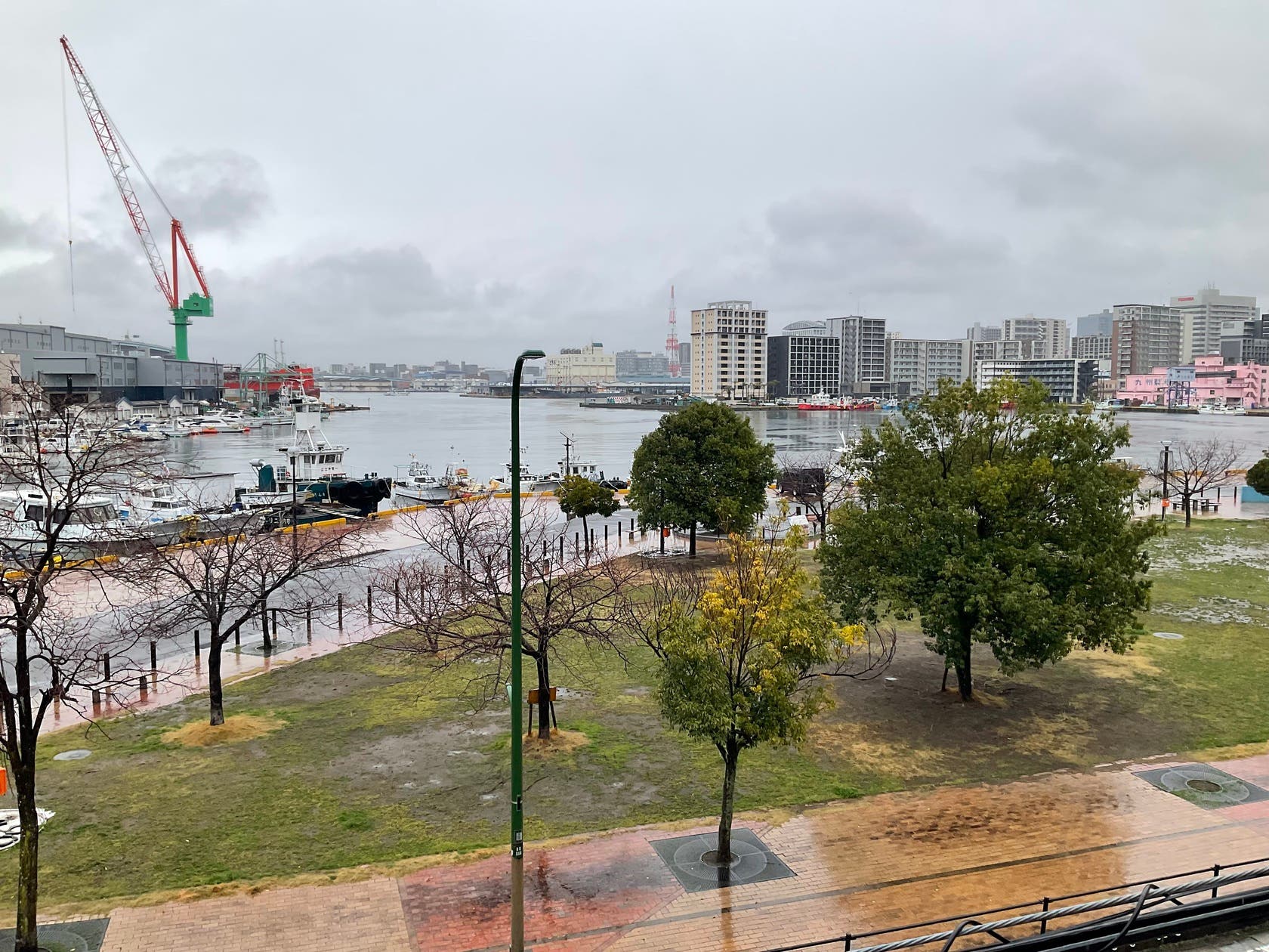 🎬NEW OPEN✨シアター・ルーム（大濠公園から徒歩10分・かもめ広場緑地前 3F）の写真8