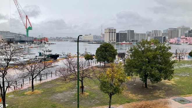 🎬NEW OPEN✨シアター・ルーム(大濠公園から徒歩10分・かもめ広場緑地前 3F)の写真8