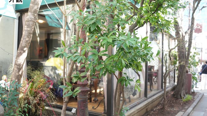 原宿駅から徒歩2分のカフェの写真21