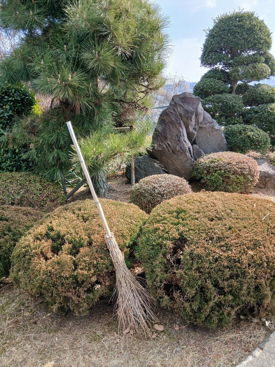 自然光たっぷり南向き一軒家、コスプレやポートレート、自由にお使いくださいの写真11