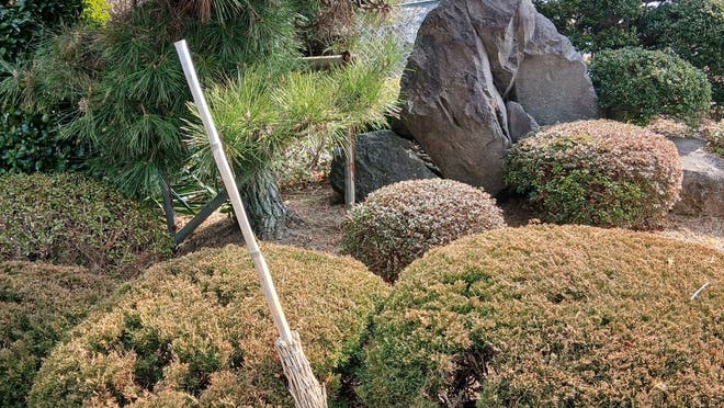 自然光たっぷり南向き一軒家、コスプレやポートレート、自由にお使いくださいの写真11