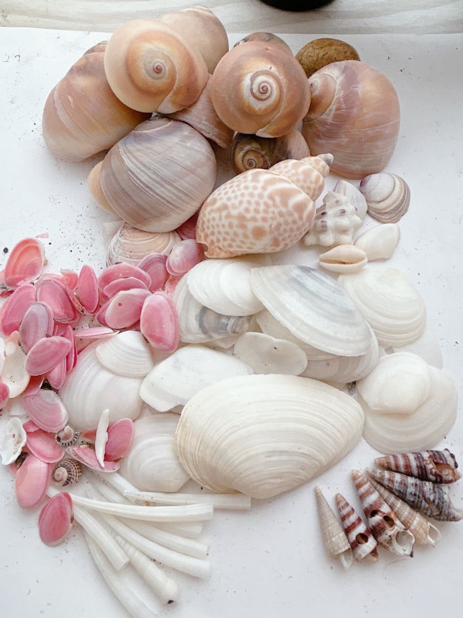 逗子レンタルスペース・カフェのような空間「逗子ラウンジ」・駐車場無料の写真7