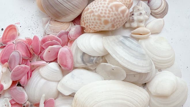 逗子レンタルスペース・カフェのような空間「逗子ラウンジ」・駐車場無料の写真7