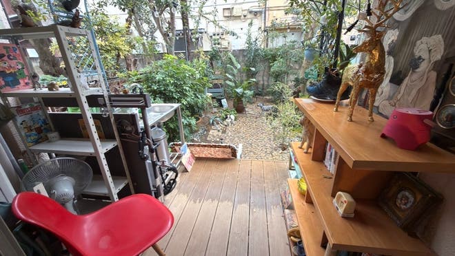 森に迷い込んだかのような庭。の写真17