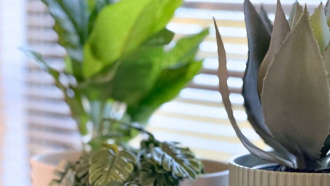 平塚レンタルサロン|無料駐車場&駐輪場|施術ベッド・ヨガ可|明るい角部屋|心と身体を整えるの写真17