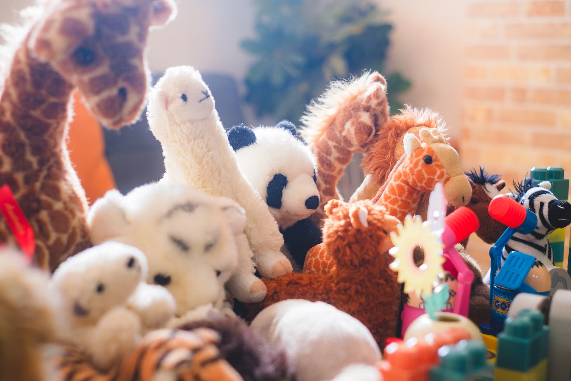 【上野駅徒歩2分🚶】日当たり抜群☀️お家デート💚パーティー🎉動画撮影など多用途に使える1LDK🐑の写真18