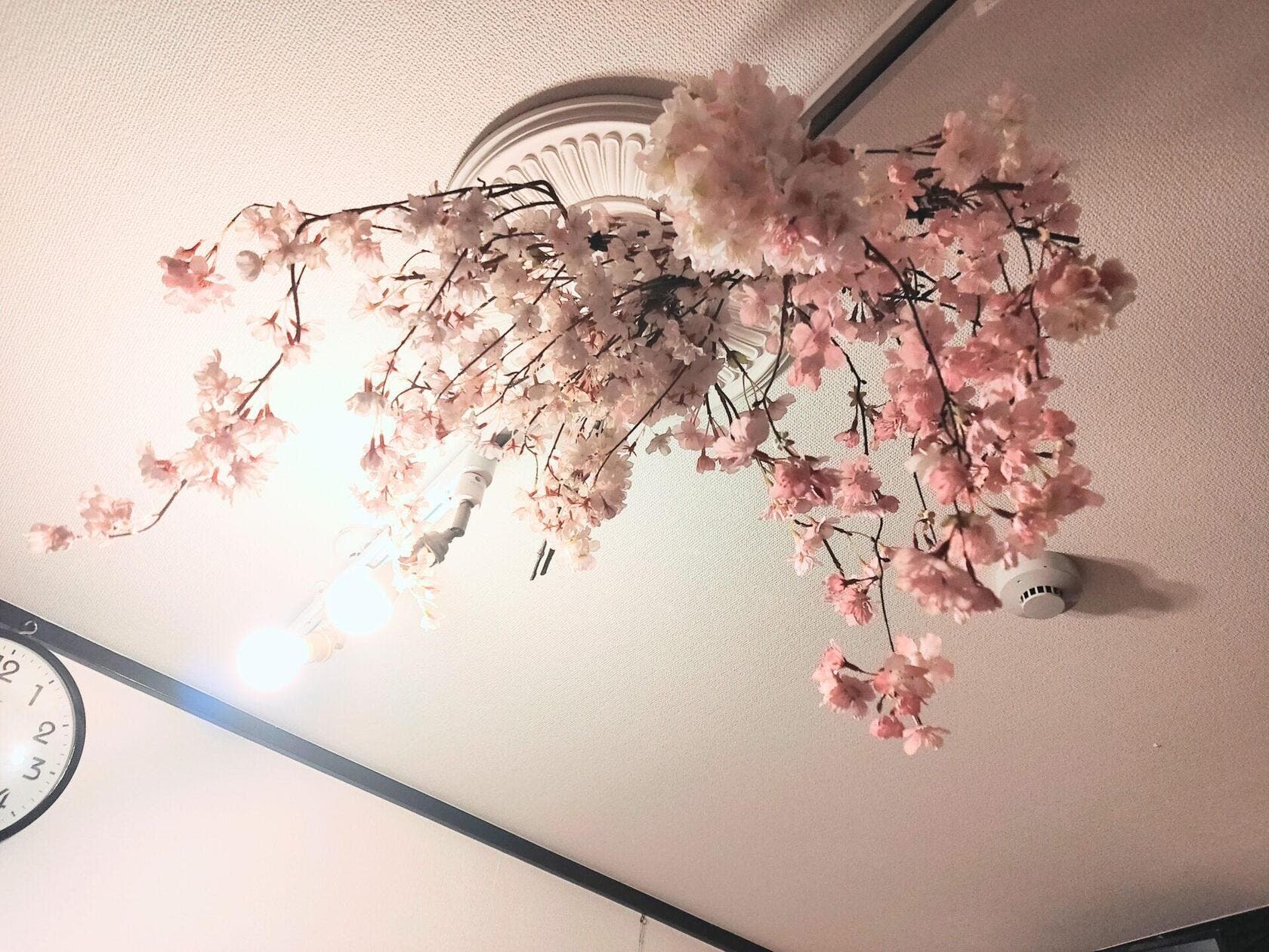 JR代々木3分･新宿駅A1口8分🌸民家風／飲み会･ガスコンロ料理会／動画撮影･Wi-Fi配信･自然光撮影／ゲーム 他｜ごみ無料の写真6