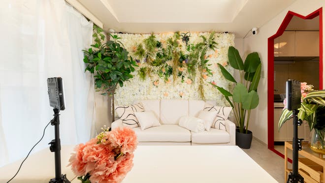 【要町4分/池袋9分】白基調×自然光🌸女子会・推し活に最適🎀デート・誕生日会✨映画鑑賞🎥歓送迎会★ポートレート📸WBC⚾の写真10