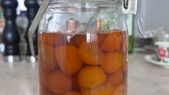 東西線早稲田駅徒歩5分の平屋の小さくてアットホームな料理撮影スタジオ/キッチン利用可/調理器具・カトラリ利用可/自然光がきれいの写真6