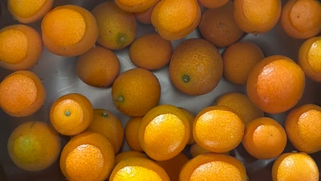 東西線早稲田駅徒歩5分の平屋の小さくてアットホームな料理撮影スタジオ/キッチン利用可/調理器具・カトラリ利用可/自然光がきれいの写真7