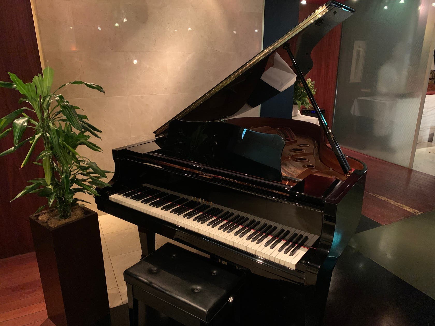 高田馬場駅から徒歩5分の音楽サロンの写真7