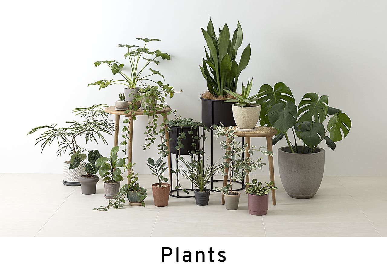 ハウススタジオ一軒家一棟貸し！の写真7