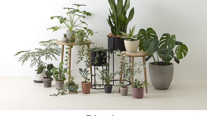 ハウススタジオ一軒家一棟貸し!の写真7