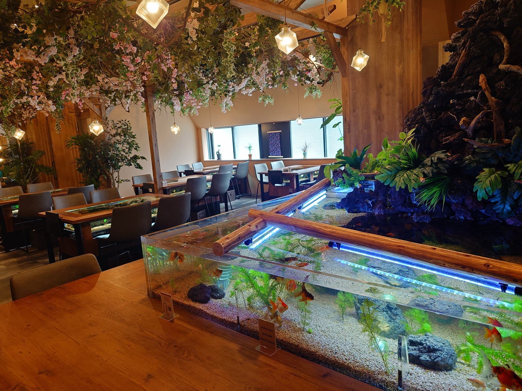 京都河原町三条交差点スグのカフェレストランの写真2